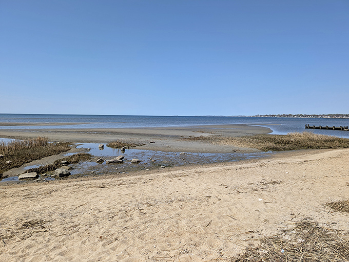 Harvey's Beach offers that rare coastal magic&mdash;a shoreline where you can actually find your family without sending up flares or climbing a lifeguard stand.