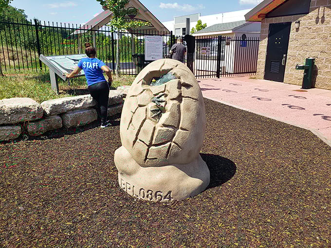 This cracking turtle egg sculpture reminds us that dinosaurs weren't the only prehistoric residents of Maryland. Nature's original surprise package!