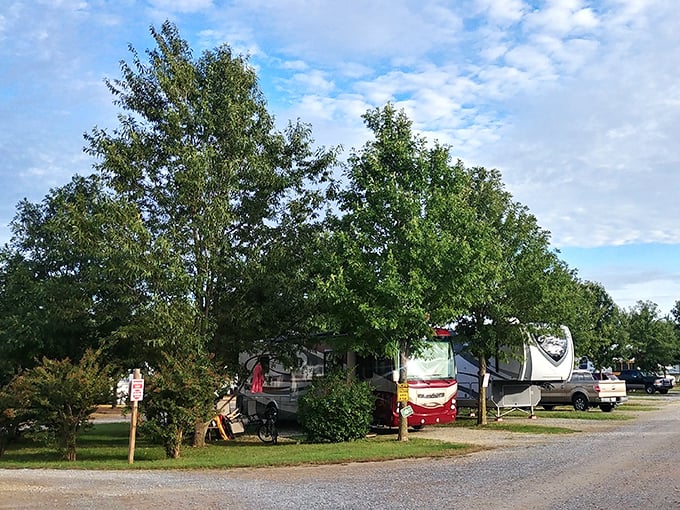 RV paradise meets countryside charm at this campground, where modern nomads park their homes-on-wheels under Tennessee's generous sky.