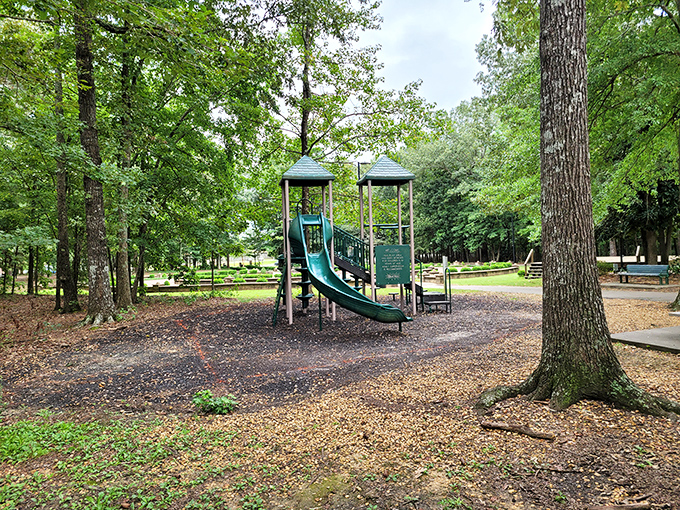 Heritage Park offers that perfect blend of nature and recreation, where grandkids can slide while grandparents enjoy Alabama's gentle breezes under towering trees.