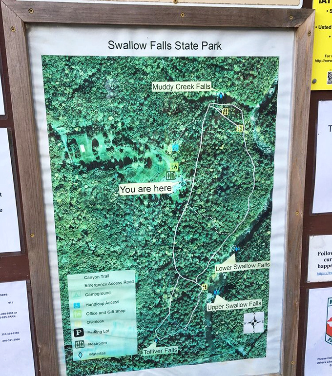 This trail map is the treasure map of adulthood. X marks the spot where you'll find waterfalls instead of buried gold, which is honestly a better deal.