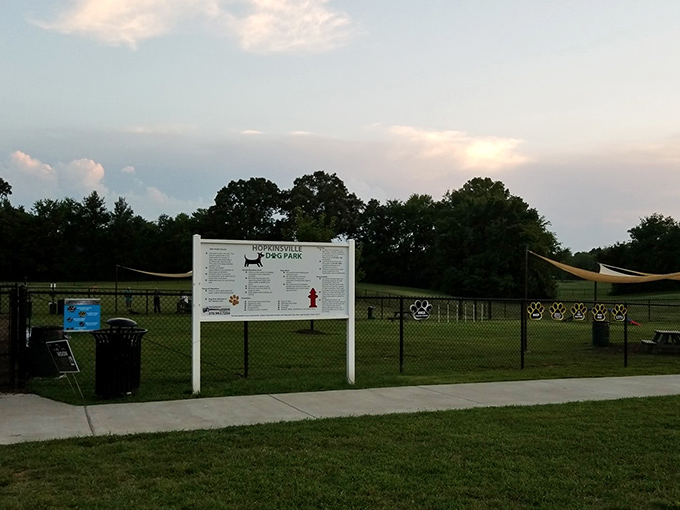 Even Fido gets the VIP treatment here&mdash;because every good boy deserves his own retirement community amenities too.