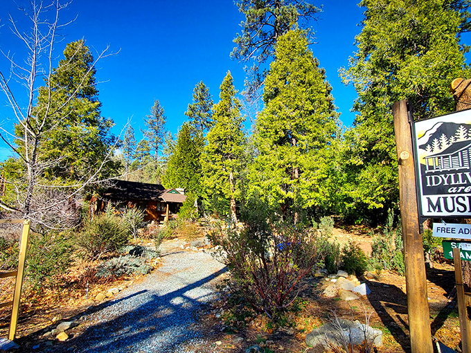 History preserved in pine-scented air. This museum holds mountain memories in a building that looks like it belongs on a Christmas card.