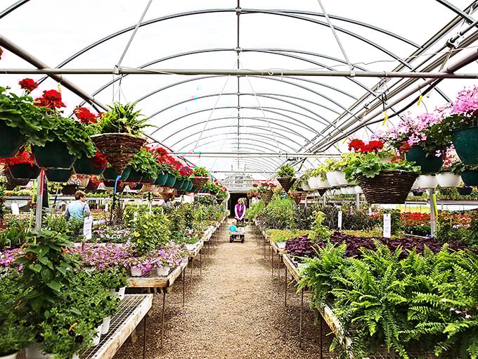 Inside this greenhouse paradise, spring arrives whenever you need it, no matter what the calendar says.