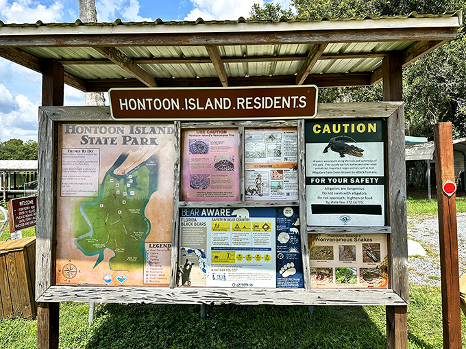 The island's information kiosk offers a crash course in local wildlife—consider it your cheat sheet for not becoming alligator lunch.