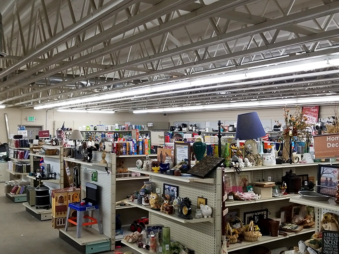 Fluorescent lights illuminate a wonderland of secondhand treasures, where every aisle promises the possibility of finding that perfect something.