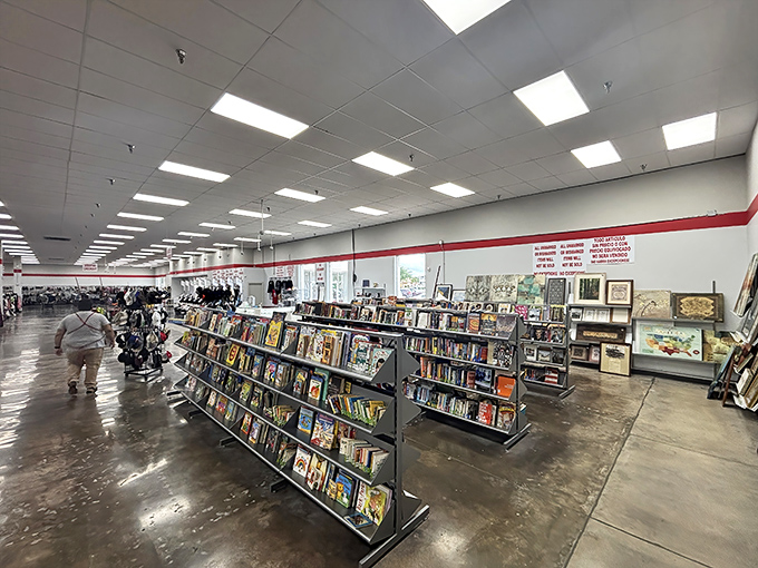 Literary treasures line these shelves like a library where every book costs less than your morning coffee.