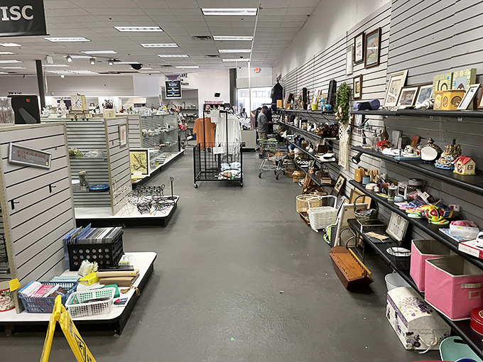 Aisles that stretch like highways of possibility, each shelf a neighborhood of potential treasures waiting to be discovered by the right shopper.