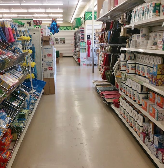 Aisles that seem to stretch toward infinity, each one a testament to organized abundance. The fluorescent lighting illuminates possibilities that cost less than your morning coffee.