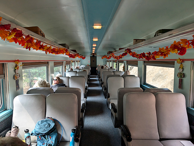 These vintage seats have hosted more stories than a library, each journey adding another chapter.