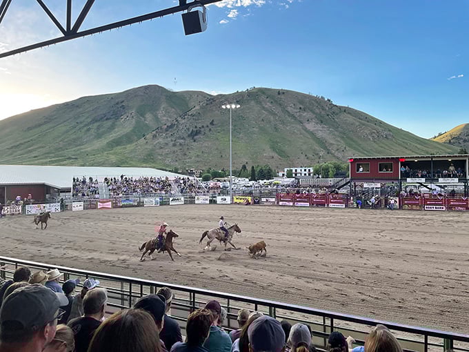 Real cowboys, real bulls, real drama &ndash; this isn't dinner theater, folks, it's legitimate Western entertainment.