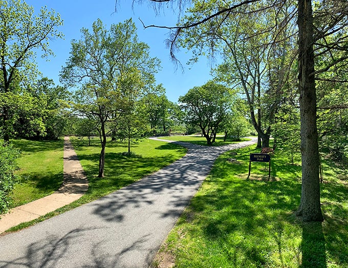 Nature's perfect landscaping job surrounds this winding path, where dappled sunlight creates an impressionist painting on the ground beneath your feet.