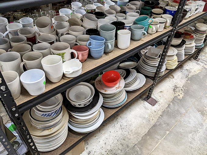 A ceramic symphony of mugs and plates stands ready for adoption. Each piece whispers stories of dinner parties past and brunches yet to come.