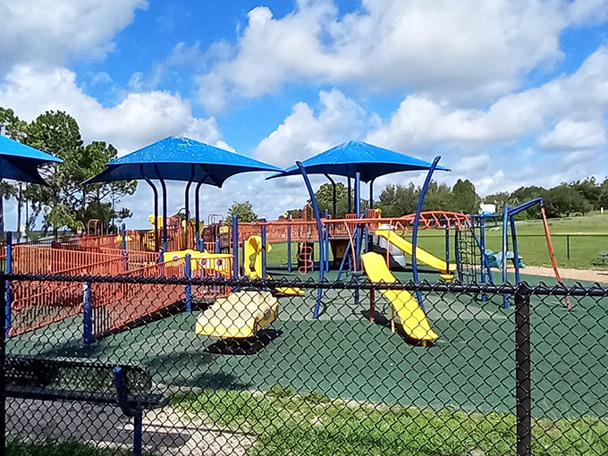 Kiwanis Park playground: where grandkids burn energy while grandparents enjoy the shade. The perfect spot for intergenerational bonding without breaking the Social Security bank! 