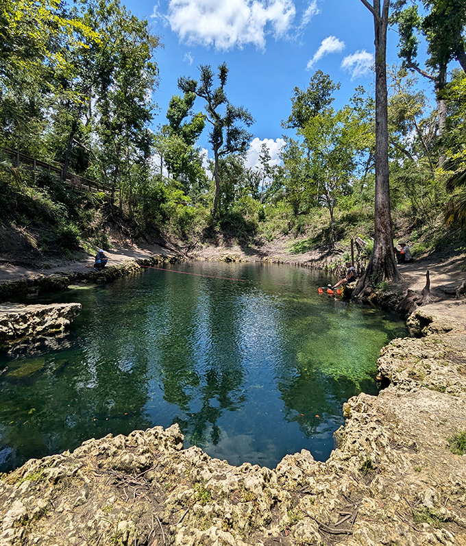 Nature's swimming pool! Lafayette Blue Springs offers crystal-clear 72-degree waters year-round, no chlorine required and far more scenic than any country club.