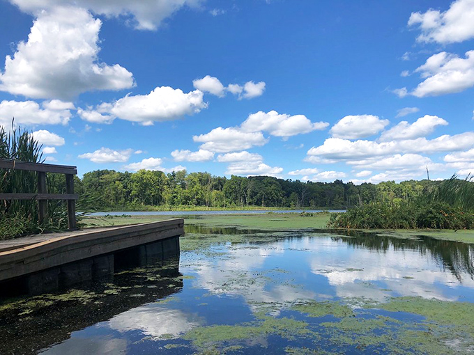 Cloud-watching gets an upgrade when there's a perfect reflection. This tranquil lake view showcases Indiana's big sky country, complete with nature's own mirror.
