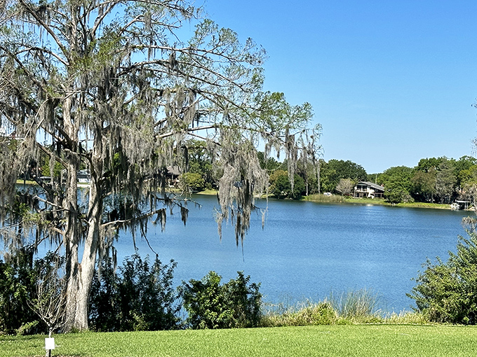 Lake Rowena offers that quintessential Florida postcard view&mdash;cypress trees, Spanish moss, and water so still it looks like nature's own mirror.