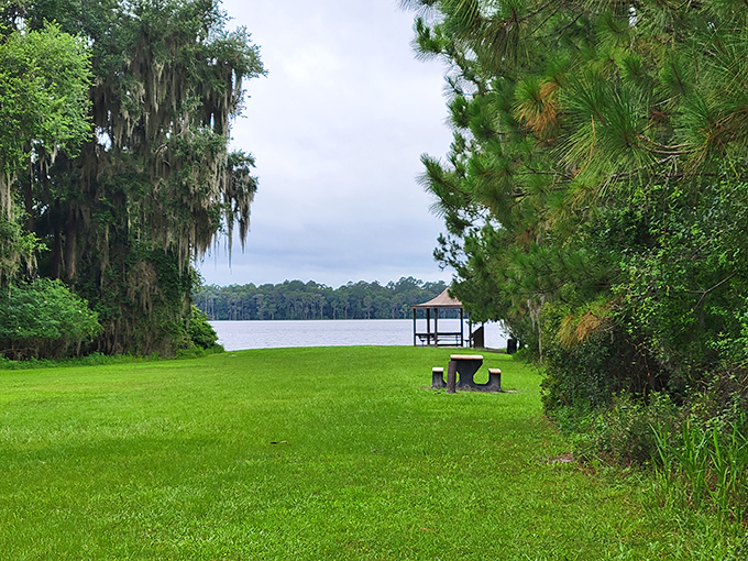 Santa Fe Lake's shoreline offers a peaceful retreat where Spanish moss-draped trees frame waterfront vistas. Mother Nature's masterpiece awaits.