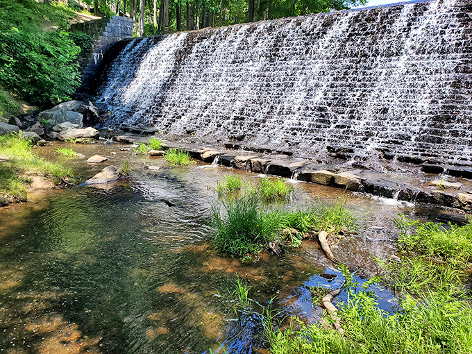 The park's waterfall doesn't care about your Instagram likes, but it will wash away your stress with hypnotic, cascading white noise.