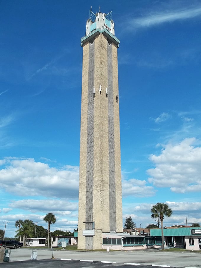 Reaching skyward like a mid-century dream, Lake Placid's tower offers panoramic views that remind you Florida isn't just beaches and theme parks.