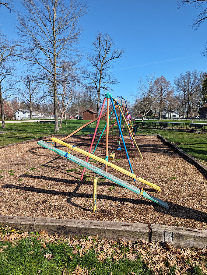 Remember when playground equipment didn't need batteries? Lehman Park's colorful slides prove kids can still have analog fun in our digital world.