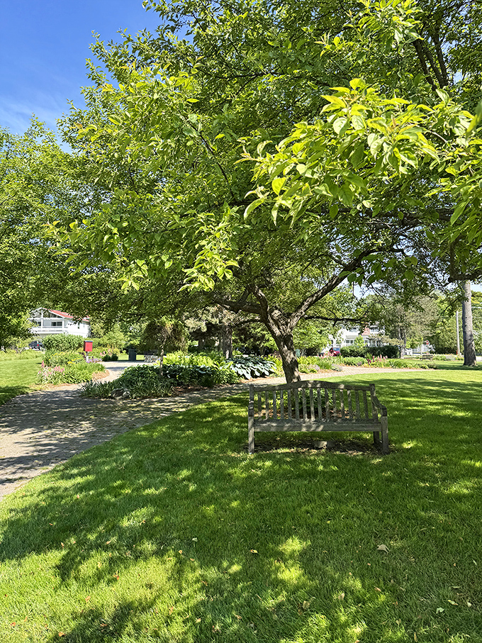 This peaceful bench under a shade tree is Leland's version of a meditation app&mdash;except the birdsong comes without a subscription fee.