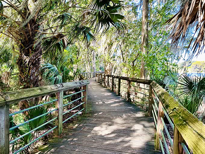 Nature and civilization find perfect harmony at Liberty Park's boardwalk, where cypress trees whisper stories of old Florida to anyone who stops to listen.