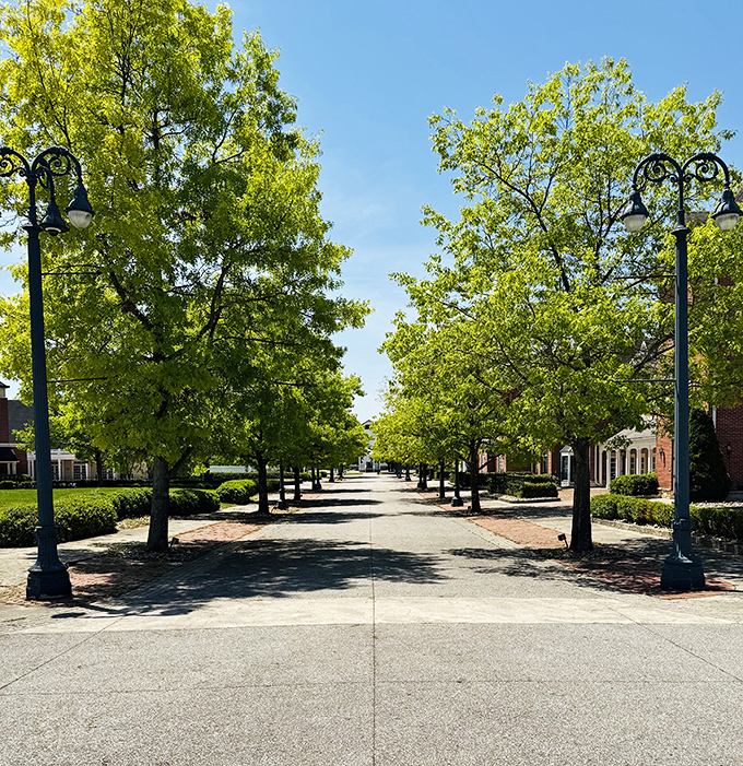 The path to basket greatness is paved with brick and lined with trees, like a yellow brick road for picnic enthusiasts.