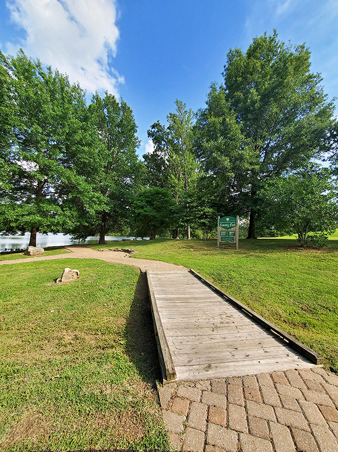 Nature's perfect landscaping job: wooden pathways leading to tranquil waters, where stress dissolves faster than sugar in sweet tea.