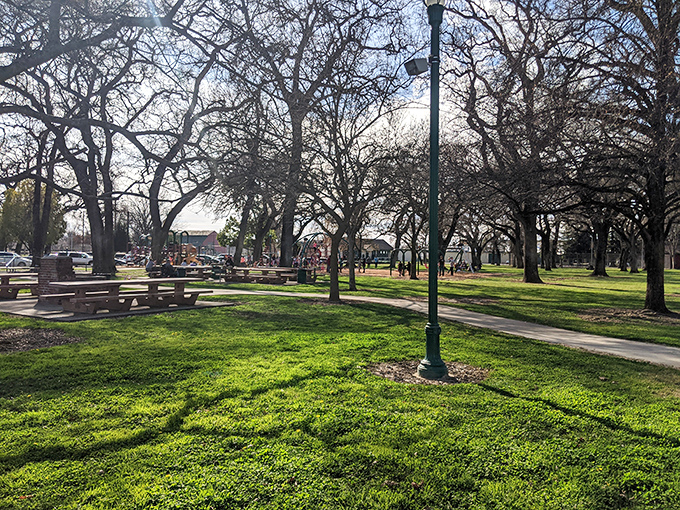 Vierra Park offers shaded picnic areas and green spaces where locals gather for everything from morning tai chi to afternoon chess matches.