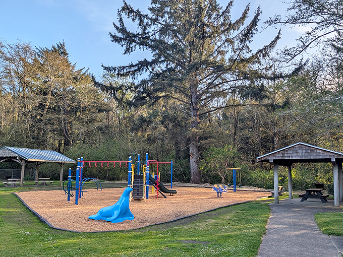 Even the playground in Manzanita feels magical. Towering evergreens create a natural cathedral where kids can play while parents breathe in that crisp Pacific air.