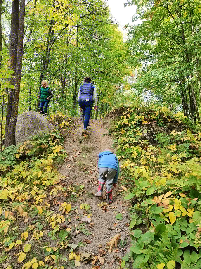 Fall hiking trails near Hibbing transform into nature's art gallery, where even the smallest adventurers discover the magic of Minnesota's woodland paths.