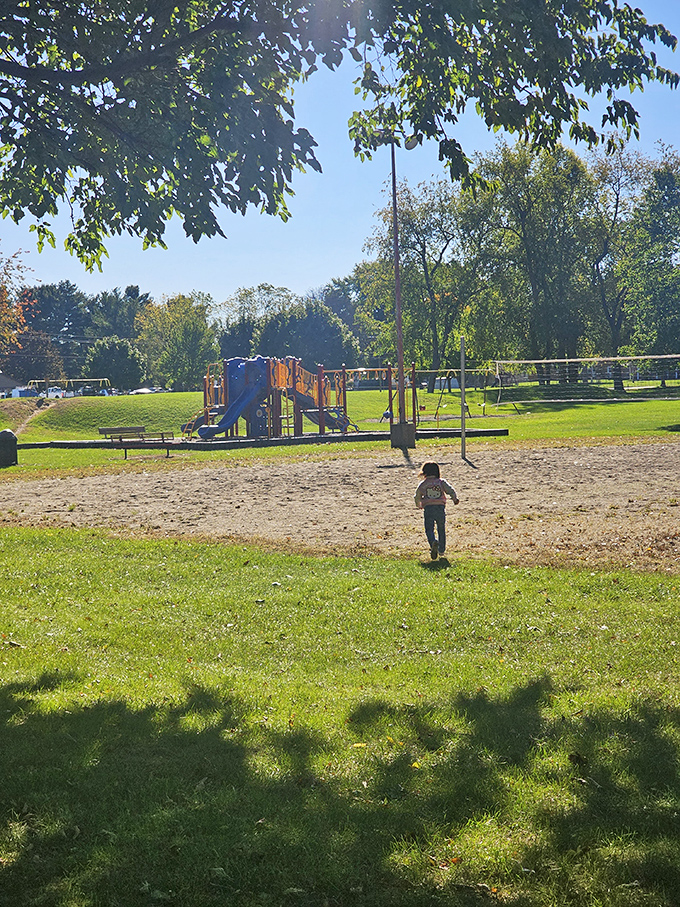 Kenny Park provides the soundtrack of childhood—swings creaking, children laughing, and parents pretending they're "just resting" on benches.