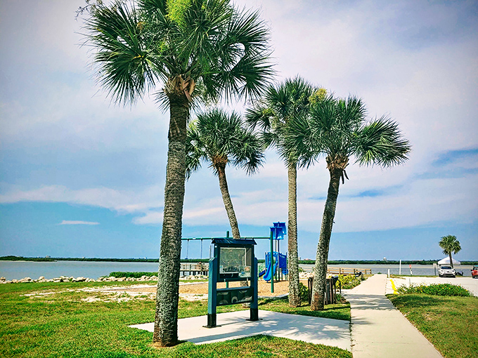 Palm trees standing guard over the lagoon like nature's welcoming committee, no membership fees required.
