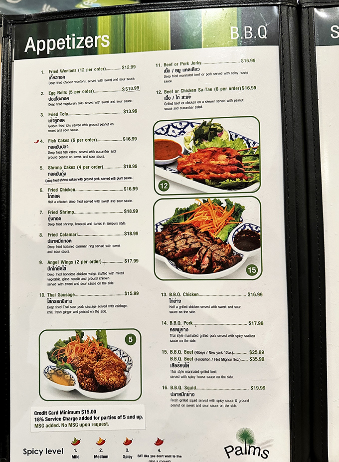 That menu is basically a roadmap to happiness. The spice level guide at the bottom ranges from "mild" to "eat like you don't want to live."