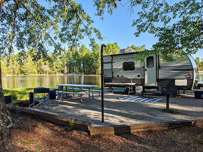 Your lakeside camping spot awaits at Millers Ferry, where retirement dreams meet affordable outdoor living under towering Southern pines.