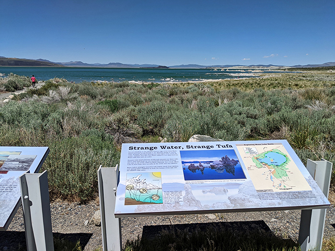 Nature's sculpture garden at Mono Lake, where limestone tufa towers rise like ancient sentinels from alkaline waters.