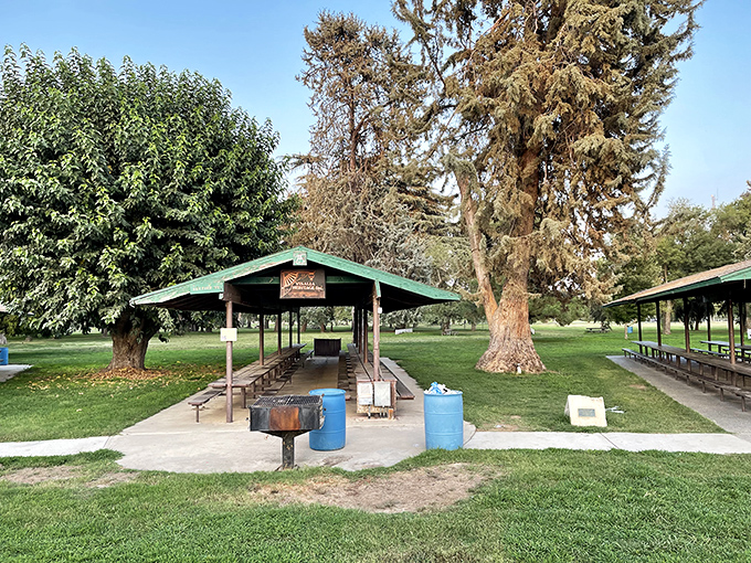 Picnic shelters at Mooney Grove Park invite multi-generational gatherings where grandparents share stories while kids chase squirrels.