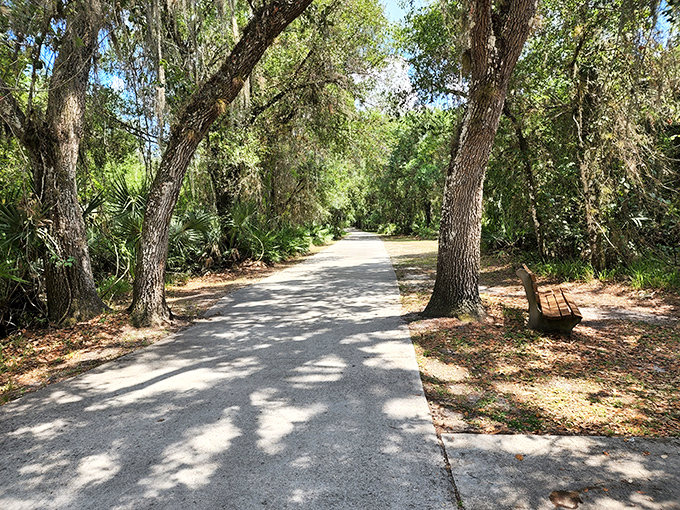 Nature trails like this one at Morgan Park offer peaceful escapes where the only traffic jam is when two turtles try passing each other.
