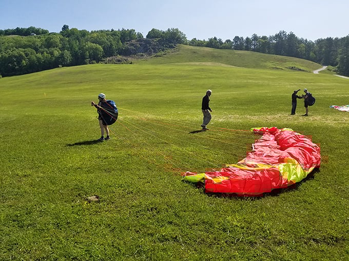 Morningside Flight Park proves that adventure doesn't end at retirement - it just gets a better view from above.