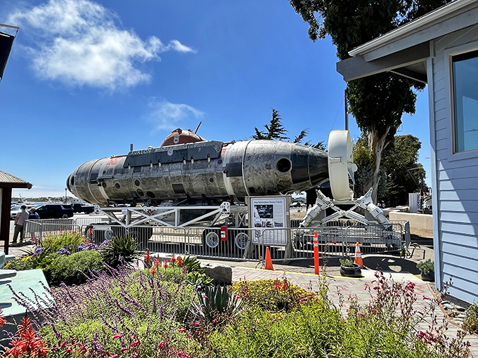 This retired submarine at the Maritime Museum looks like it's ready to star in its own Beatles-inspired underwater adventure.