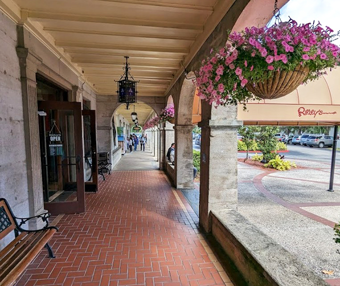 Where Florida elegance meets oddity. The museum's columned entrance walkway, adorned with hanging flowers, offers a deceptively normal prelude to the wonderfully weird world within.