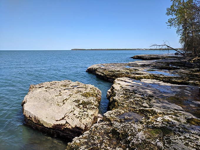 Lake Erie's limestone canvas, sculpted by millennia of waves. These rocky shores tell stories older than your grandmother's recipe book.
