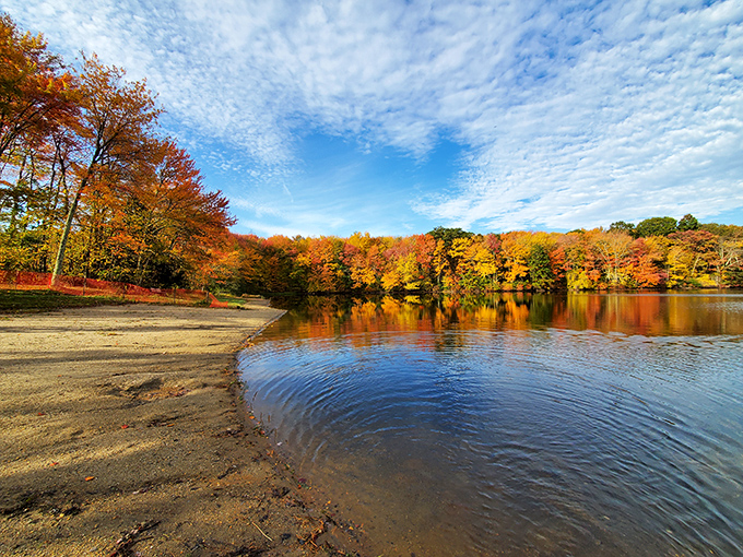 Mother Nature showing off her fall wardrobe at Nystrom's Park. The trees aren't just changing colors&mdash;they're putting on a full Broadway production.