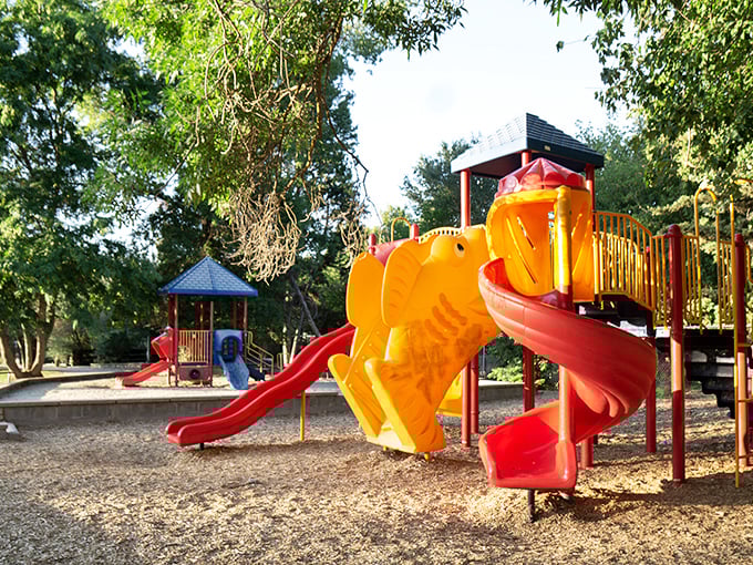 Who needs expensive theme parks when Oakhurst Community Park offers elephant slides and childhood joy without the wallet-crushing admission fees?
