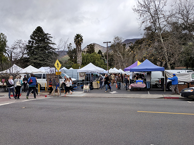Ojai's Farmers Market isn't just shopping – it's a weekly social ritual where the produce is as colorful as the conversations.