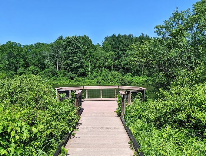 Nature's boardwalk invites you to wander through Otter View Park's lush greenery&mdash;proof that sometimes the best attractions don't have admission fees.