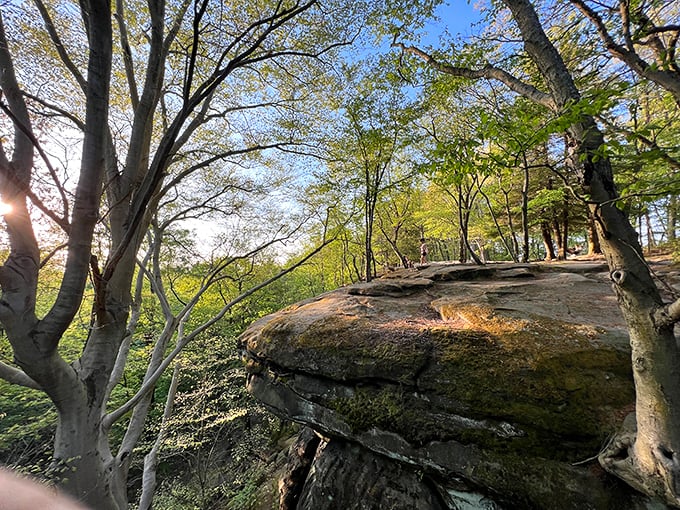 Ancient sandstone platforms that have hosted more contemplative moments than a therapist's couch, just with better views.