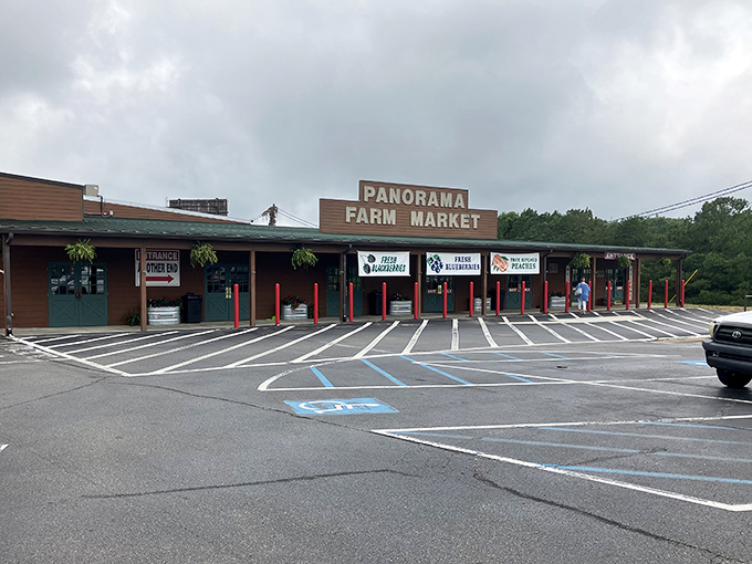 Panorama Farm Market isn't just a place to buy produce&mdash;it's where apples go to achieve celebrity status and pumpkins dream of becoming pies.