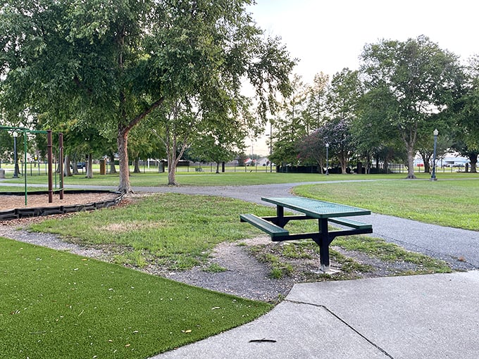 Parc Hardy offers the kind of simple serenity that reminds you sometimes the best entertainment doesn't require a password or monthly subscription.